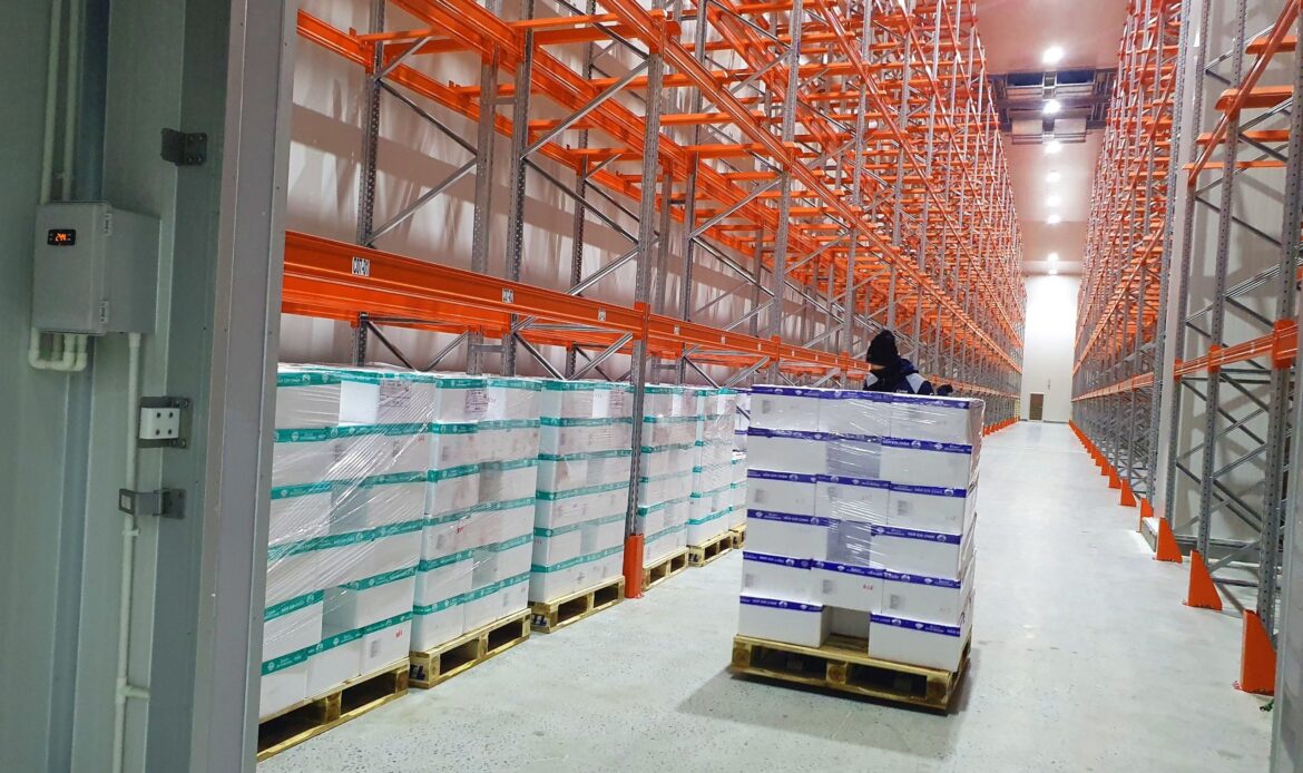 Cold Warehouse - VELA